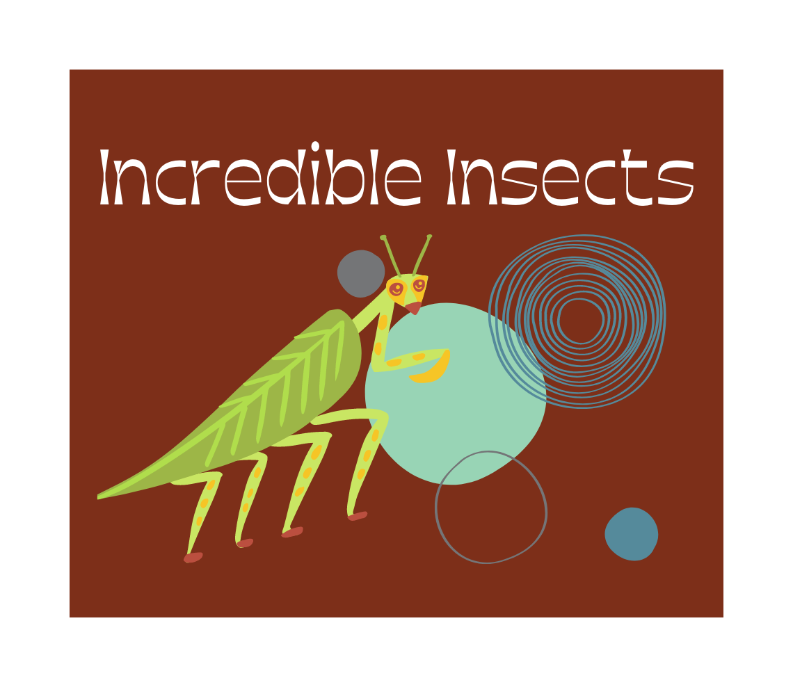 School Groups – Ansonia Nature Center