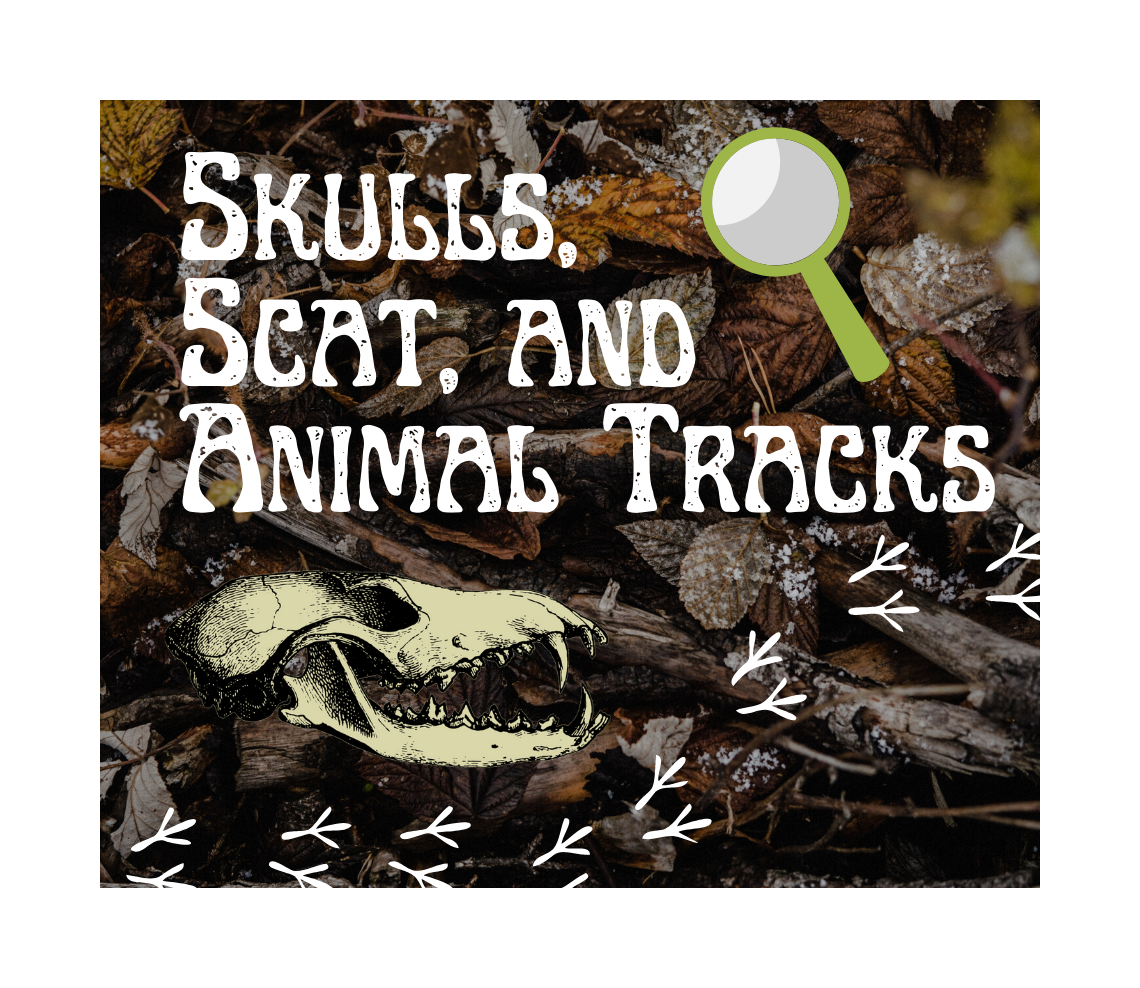 Educational Programs – Ansonia Nature Center