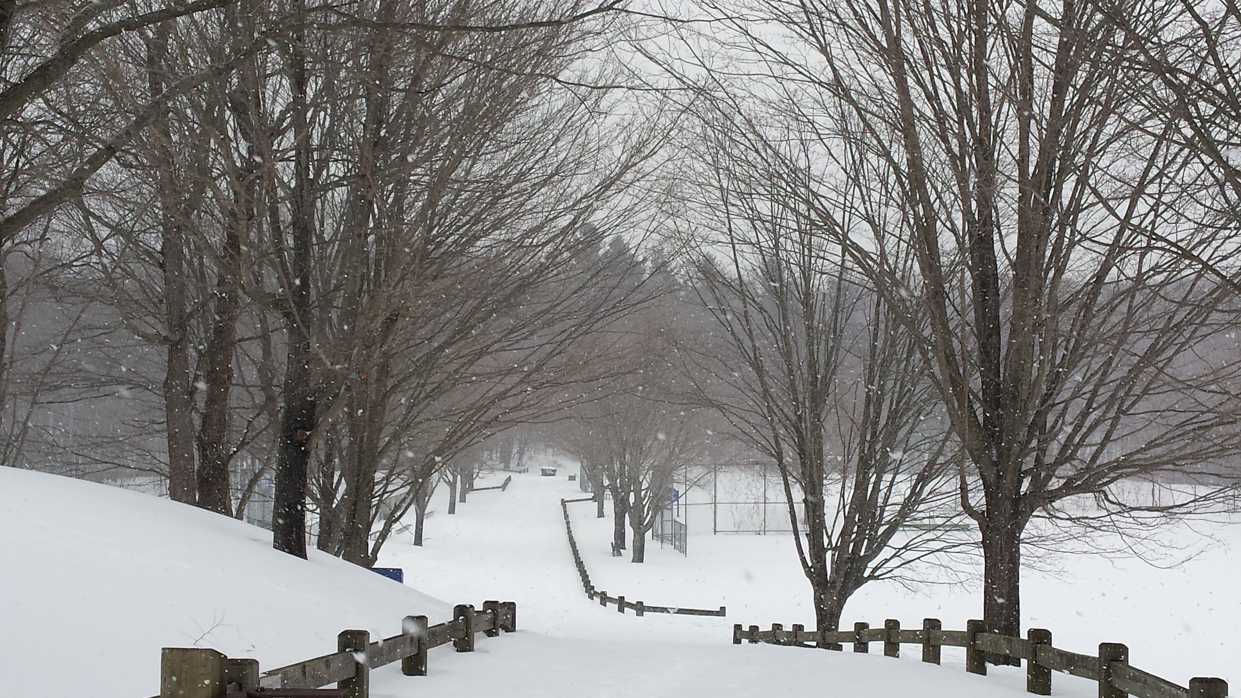 Home - Ansonia Nature Center