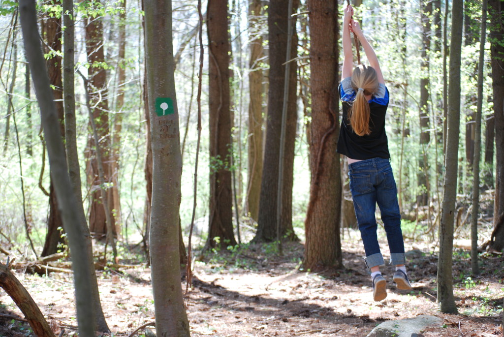 Ansonia Nature Center – Ansonia Nature Center