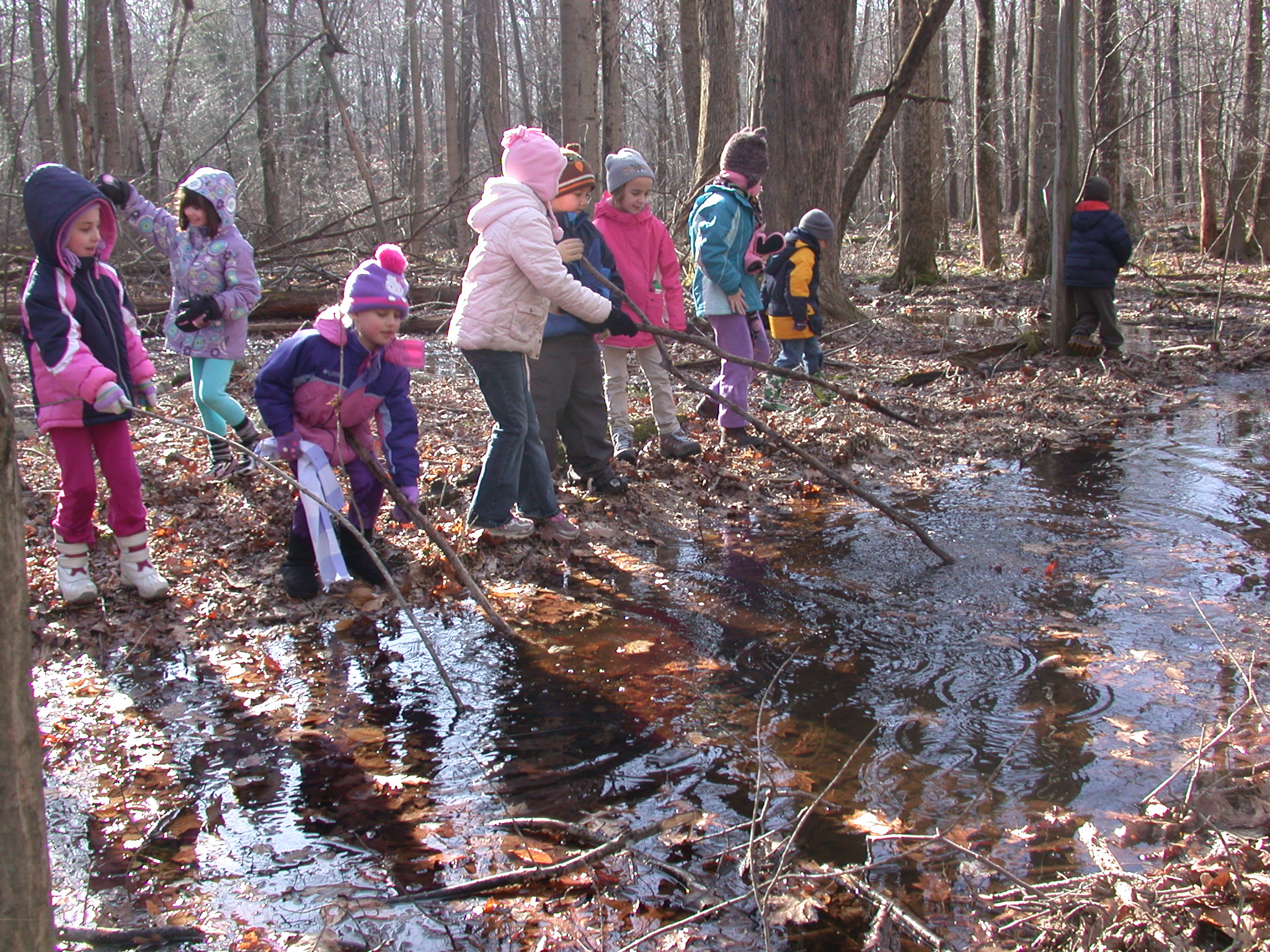 Visitor Info – Ansonia Nature Center