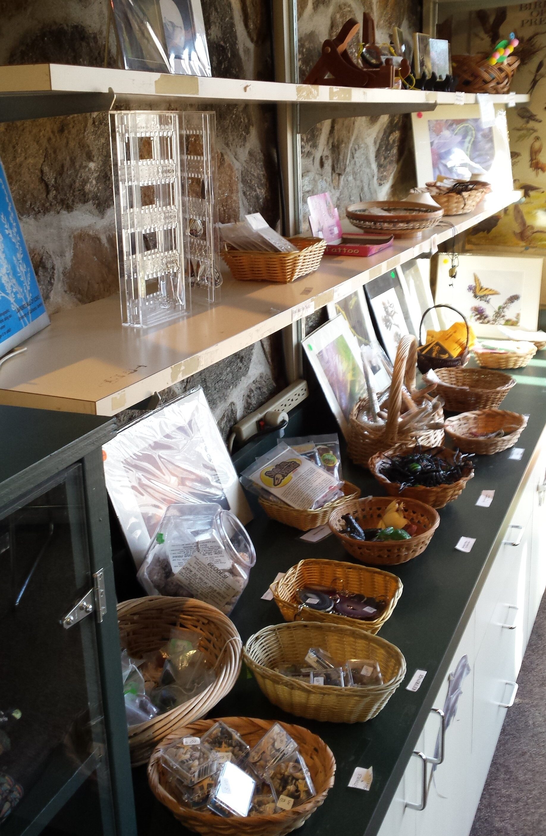 Visitor Info – Ansonia Nature Center